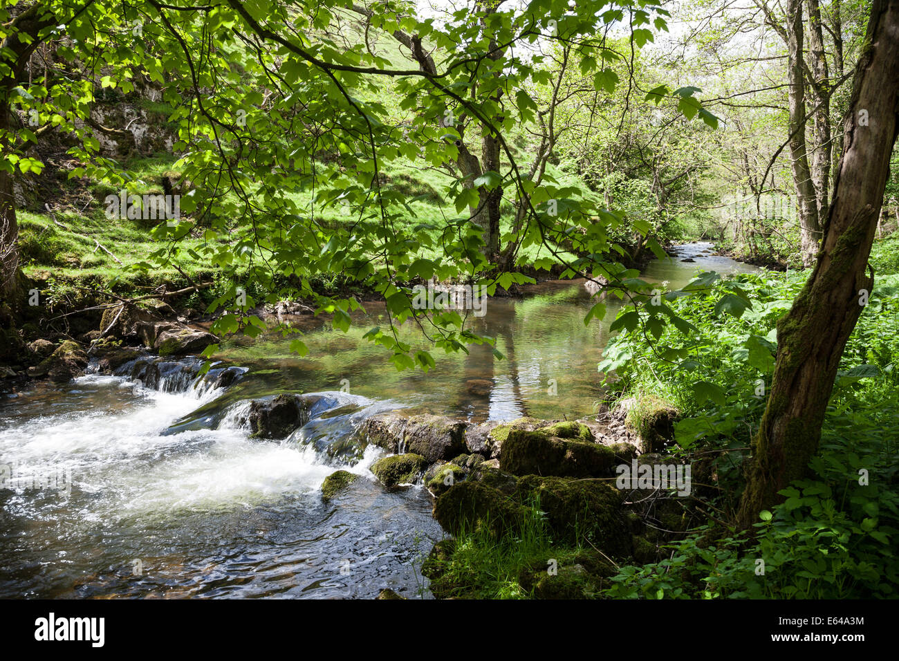River Dove in Wolfscote Dale on the Staffordshire, Derbyshire border ...