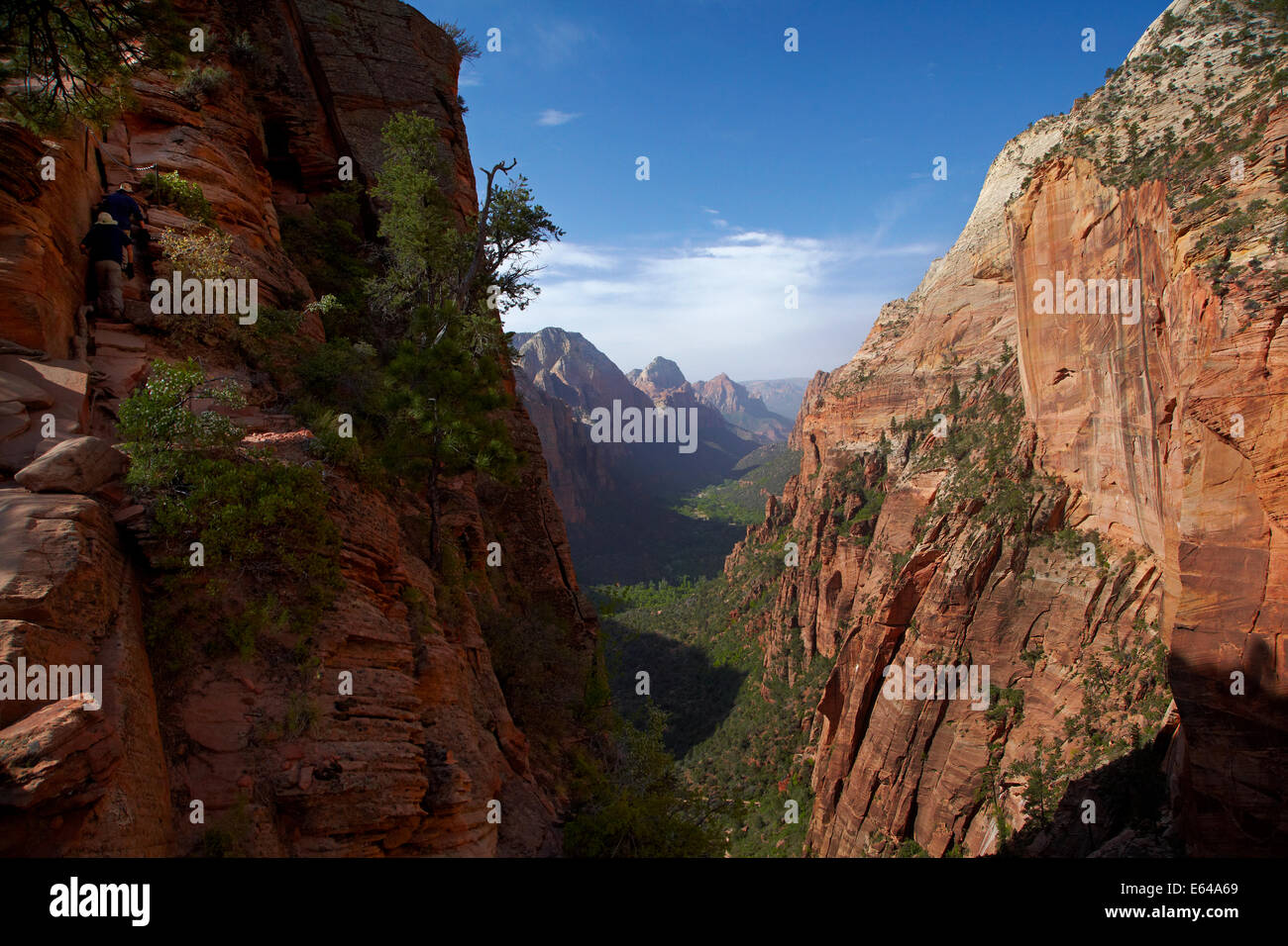 Hikers on narrow steep Angels Landing track, and drop to Zion Canyon ...