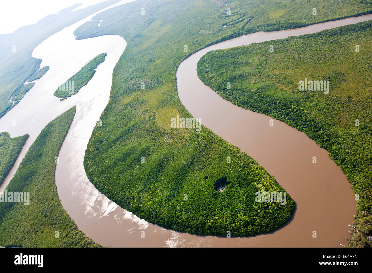 Aerial view of rain forest, Daintree River, Daintree National Park ...