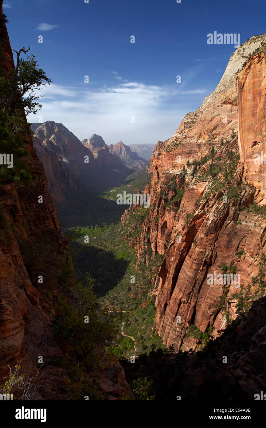 Looking down Zion Canyon, from Angels Landing track, Zion National Park ...