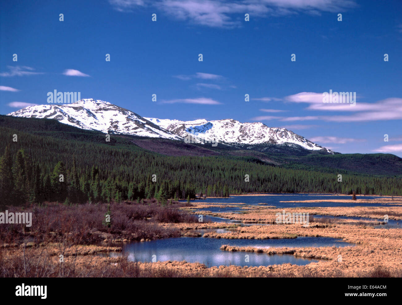 Cassiar Mountains,Alaska Highway Stock Photo - Alamy