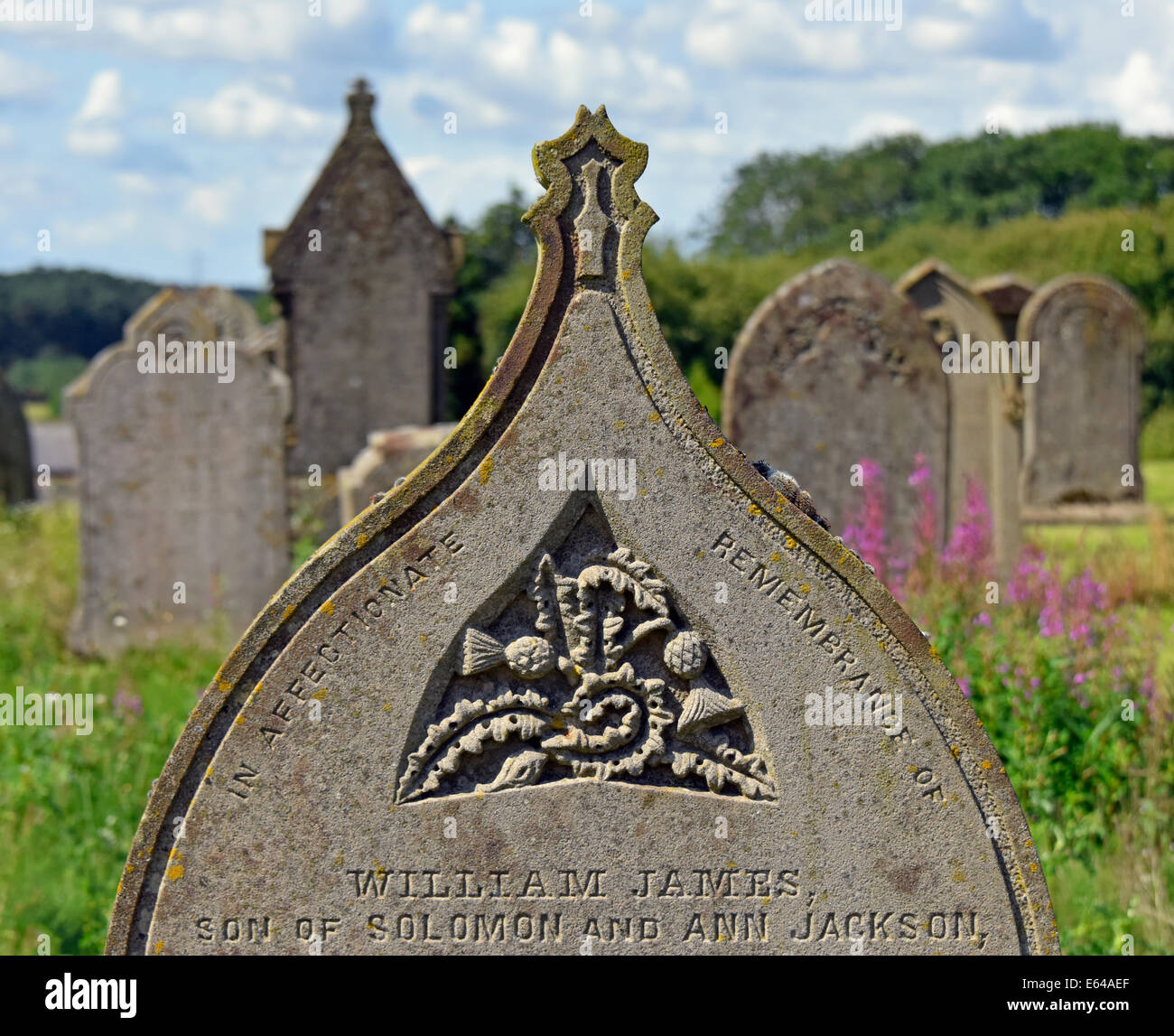 Gravestone with thistle design. Church of Saint Thomas a Becket. Kirkhouse, Farlam, Cumbria ...