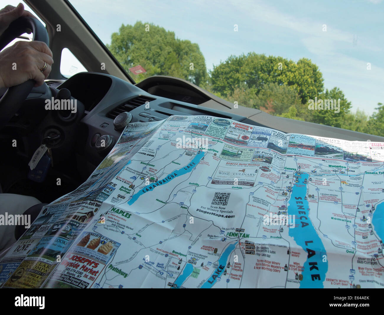 Woman using map while touring the Finger Lakes Wine Region in Seneca ...