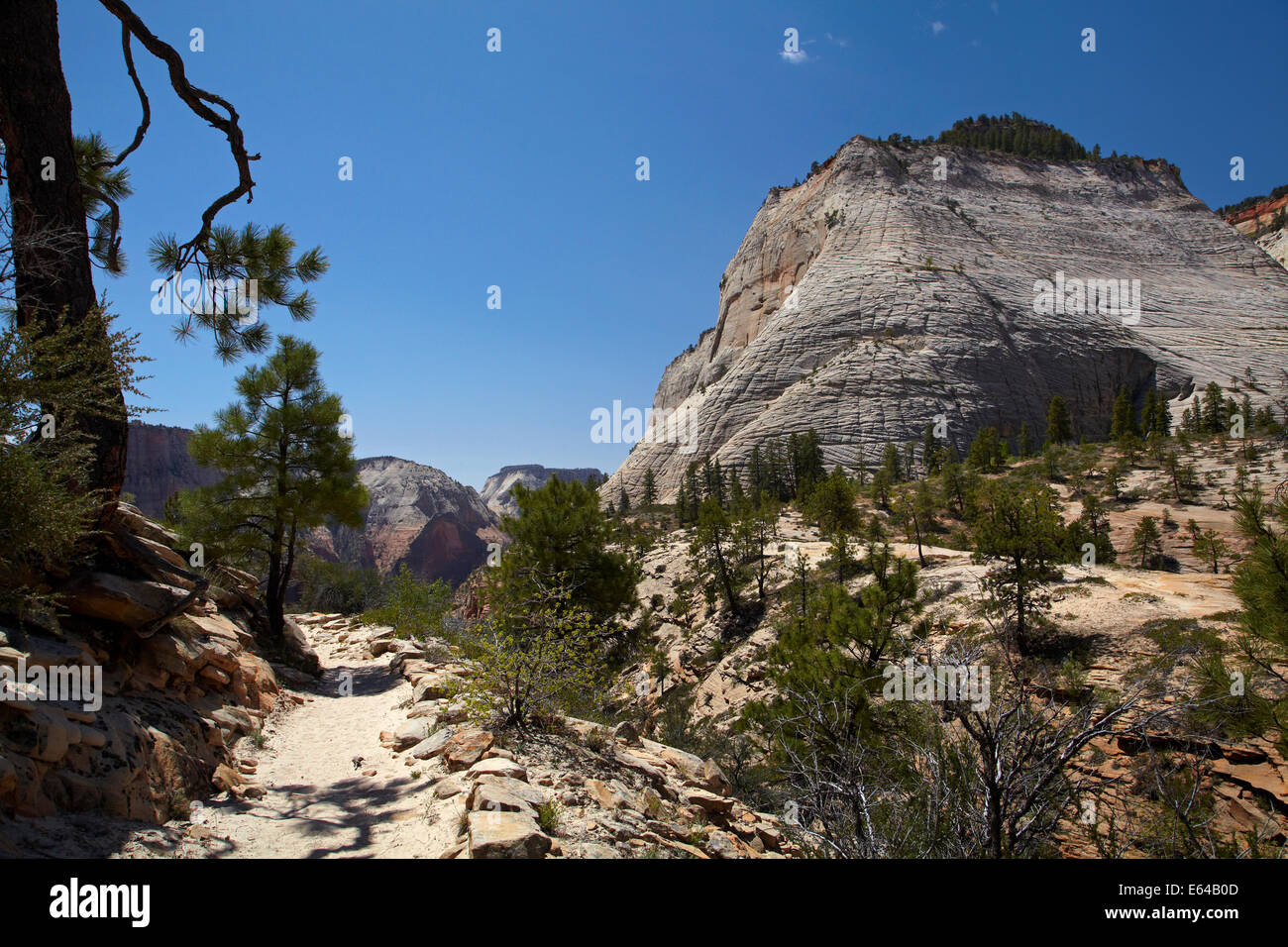 Cathedral Mountain and West Rim Trail, Zion National Park, Utah, USA ...