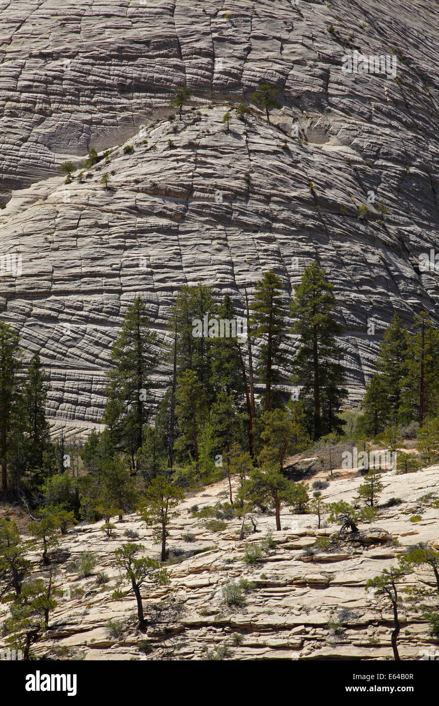 Rock patterns hi-res stock photography and images - Alamy