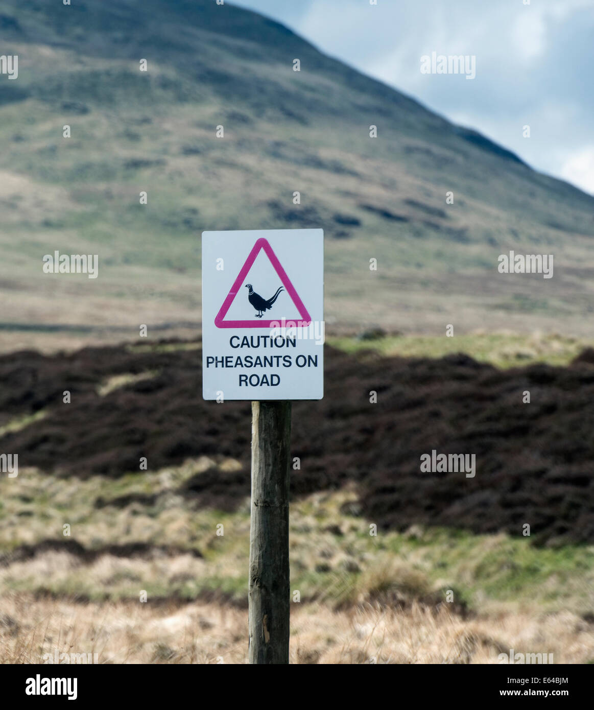 Scottish warning sign hi-res stock photography and images - Alamy