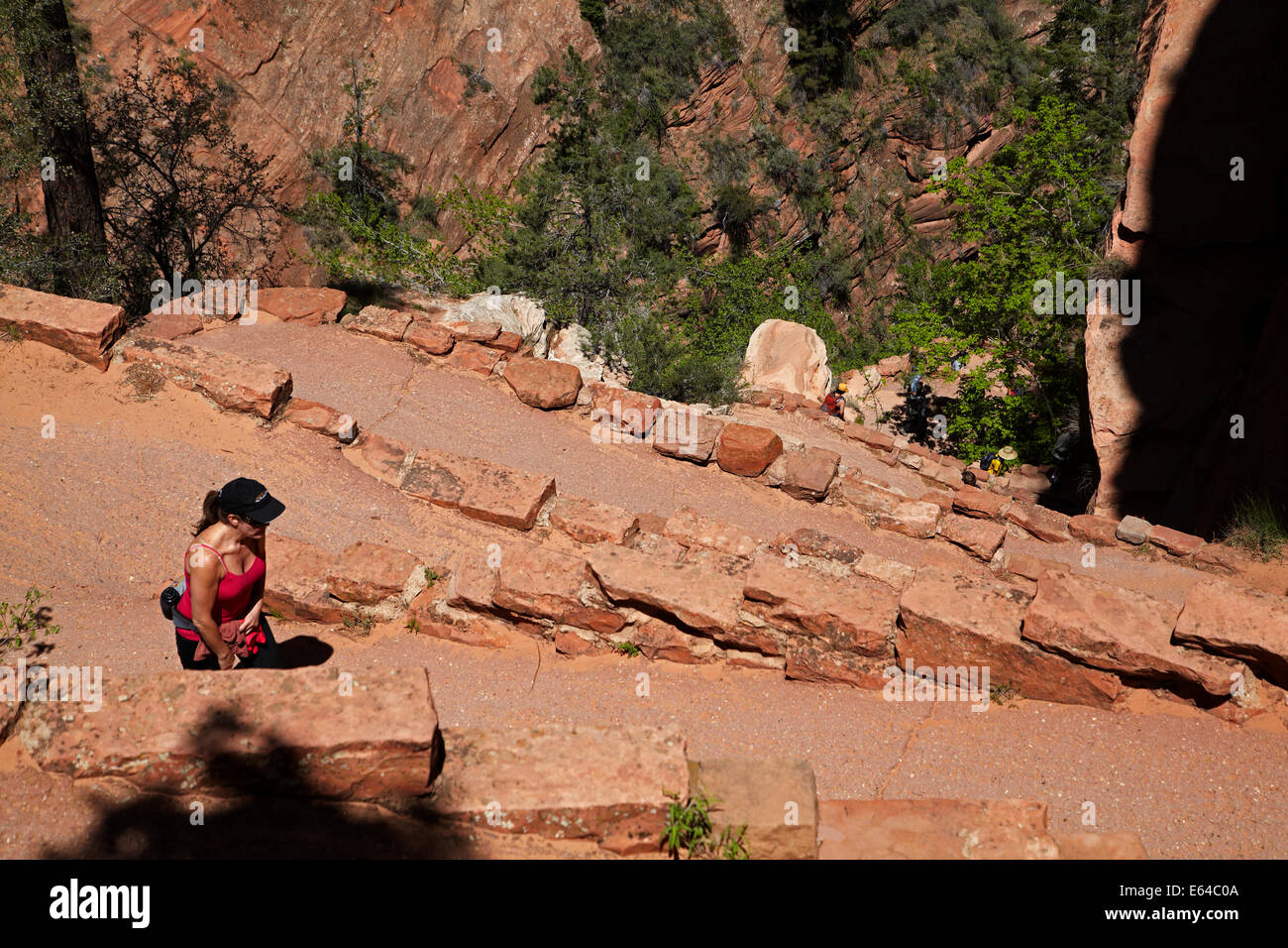 Angel's landing walters wiggles hi-res stock photography and images - Alamy