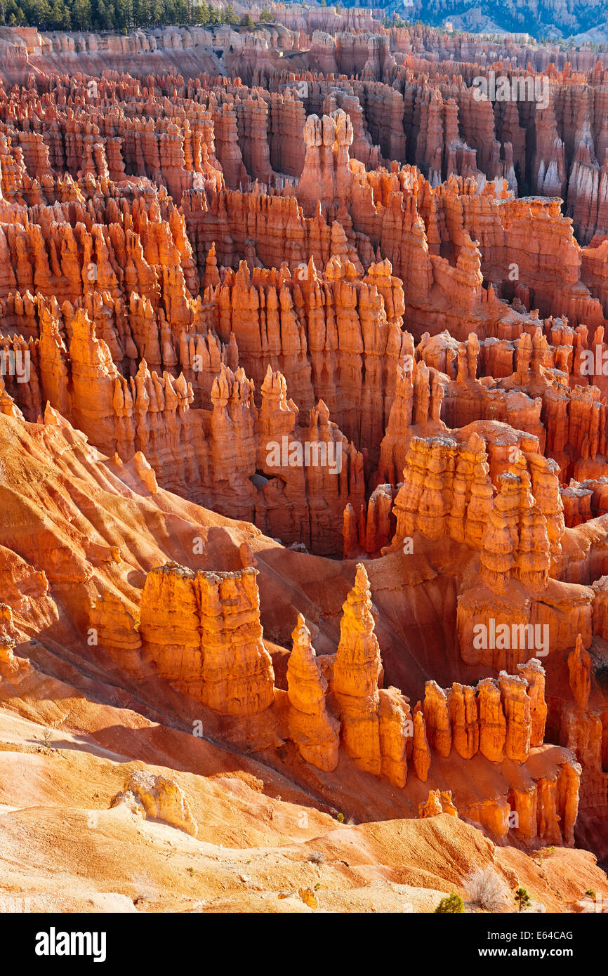 Early morning scenic view of numerous red hoodoos from the Inspiration ...