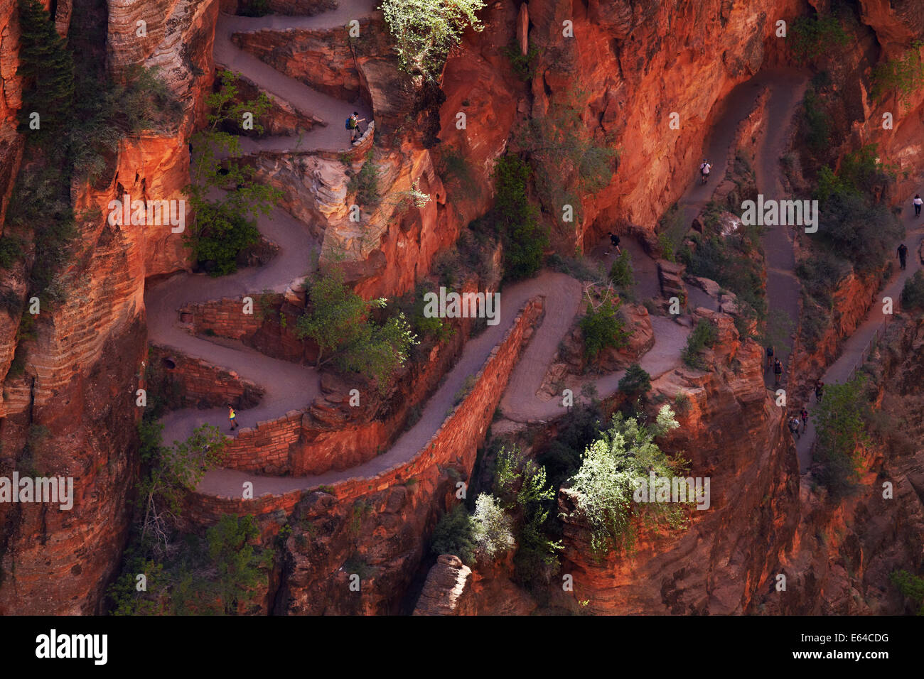 Walters wiggles switchbacks angels landing hi-res stock photography and ...