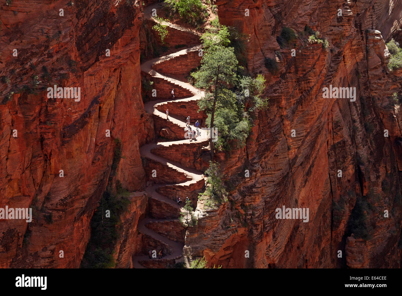 Angel's landing walters wiggles hi-res stock photography and images - Alamy