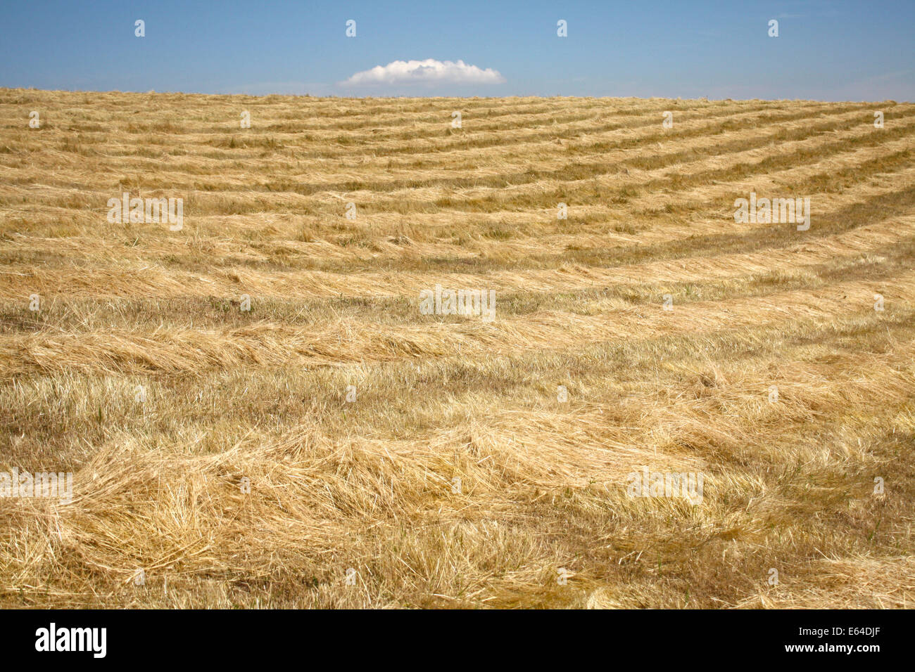 Weat weather hi-res stock photography and images - Alamy