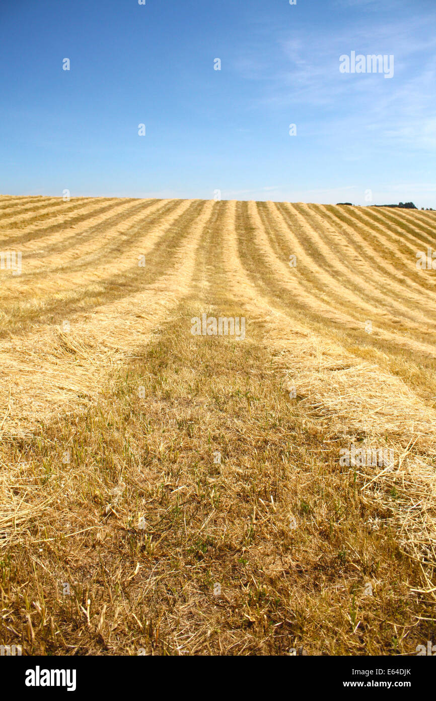 Weat weather hi-res stock photography and images - Alamy