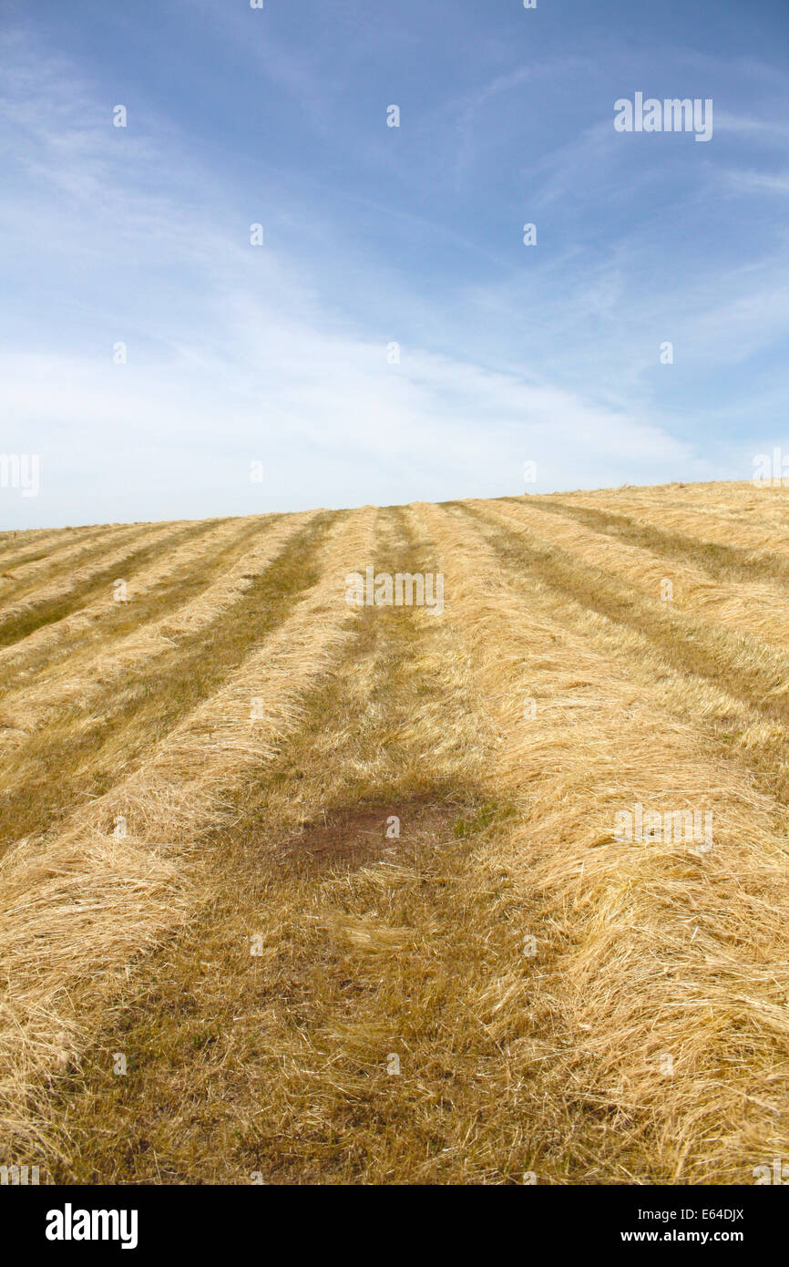 Weat weather hi-res stock photography and images - Alamy