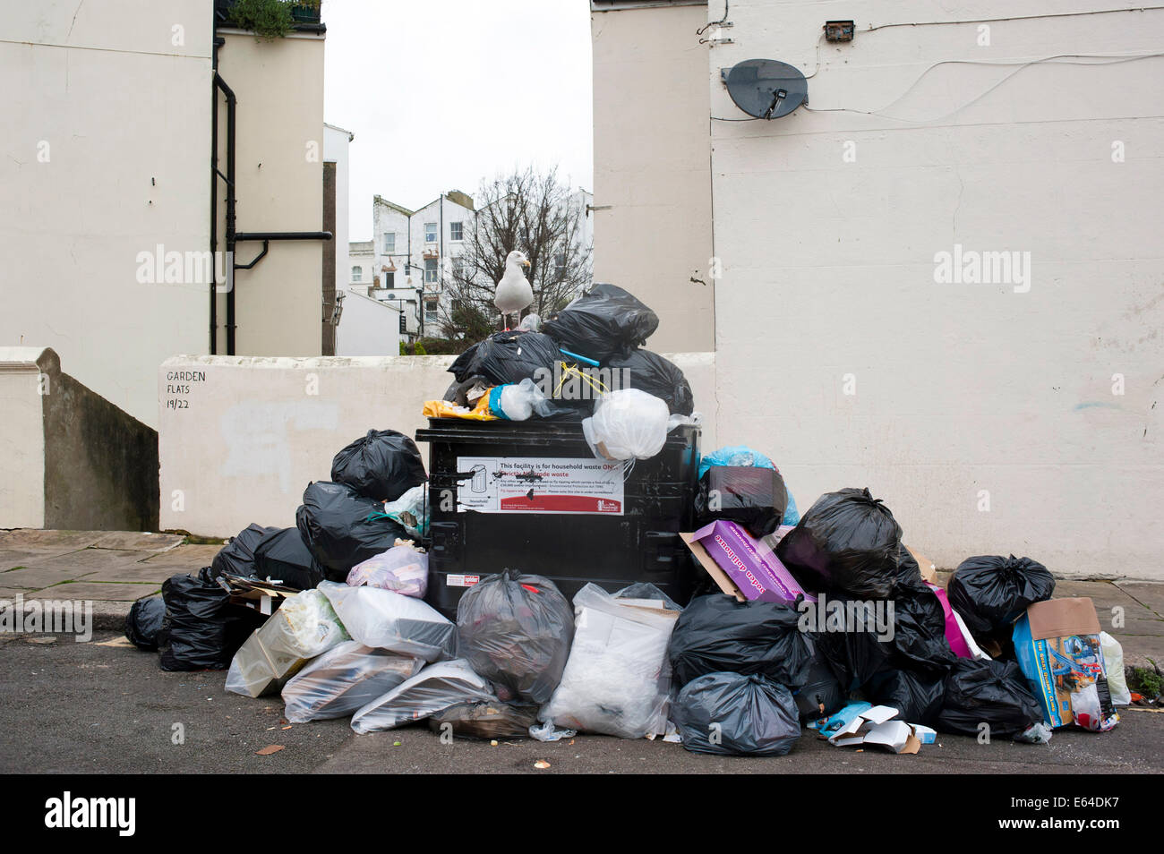 Overflowing communal rubbish bins Stock Photo - Alamy