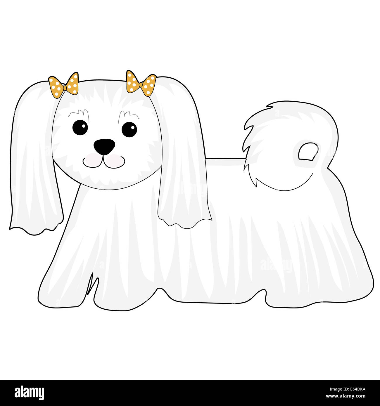 Maltese dog breed head Cut Out Stock Images & Pictures - Alamy