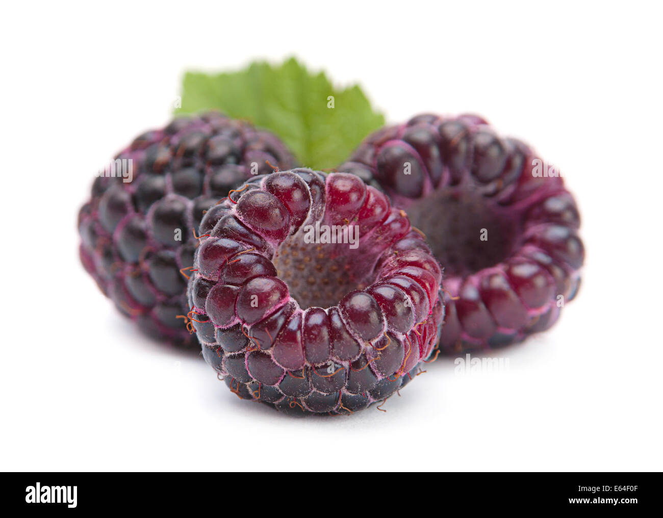 Black raspberry Cumberland isolated on white background Stock Photo - Alamy
