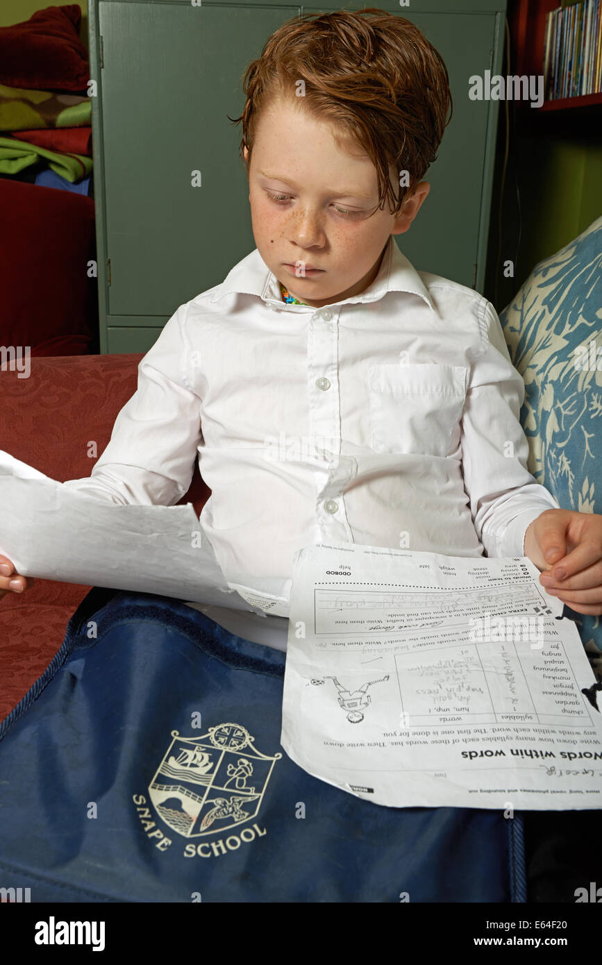 Schoolboy at home doing homework Stock Photo - Alamy