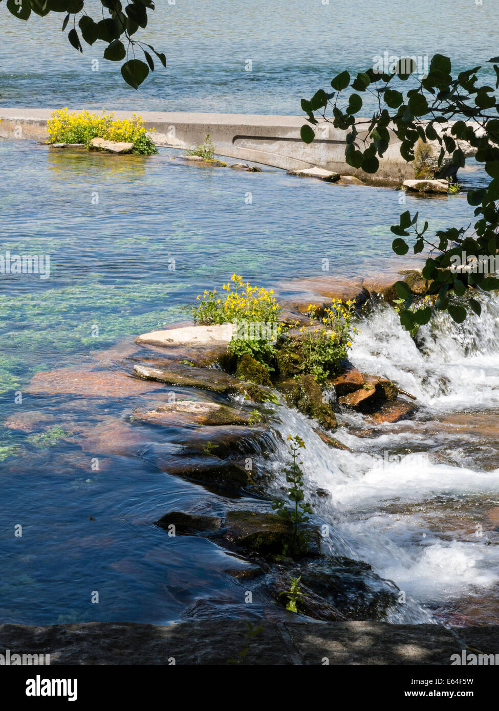Giant Springs State Park, Great Falls, Montana, USA Stock Photo - Alamy
