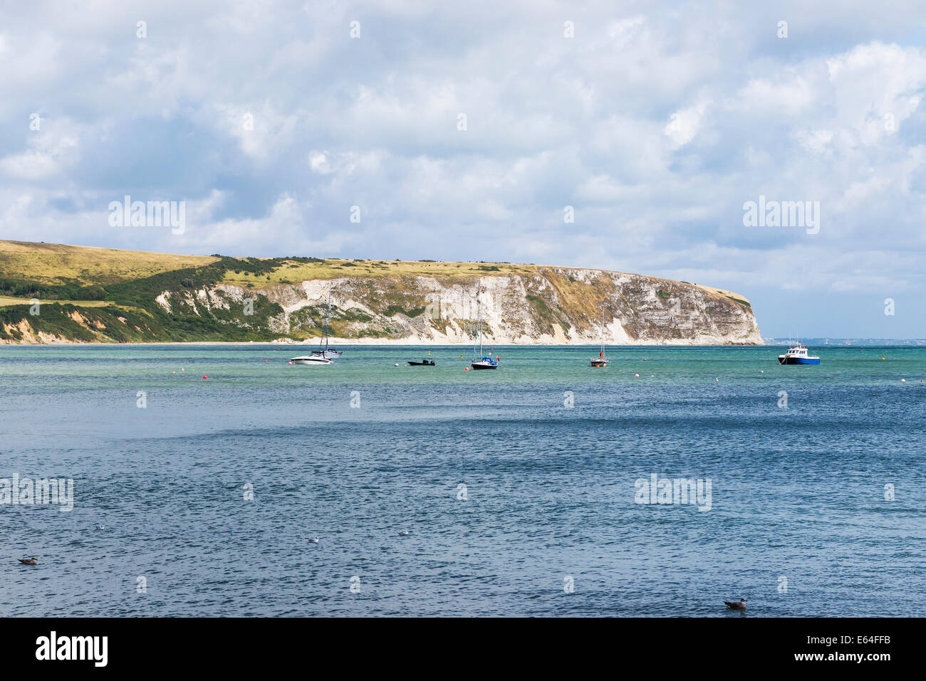 Dorset swanage cliff hi-res stock photography and images - Alamy