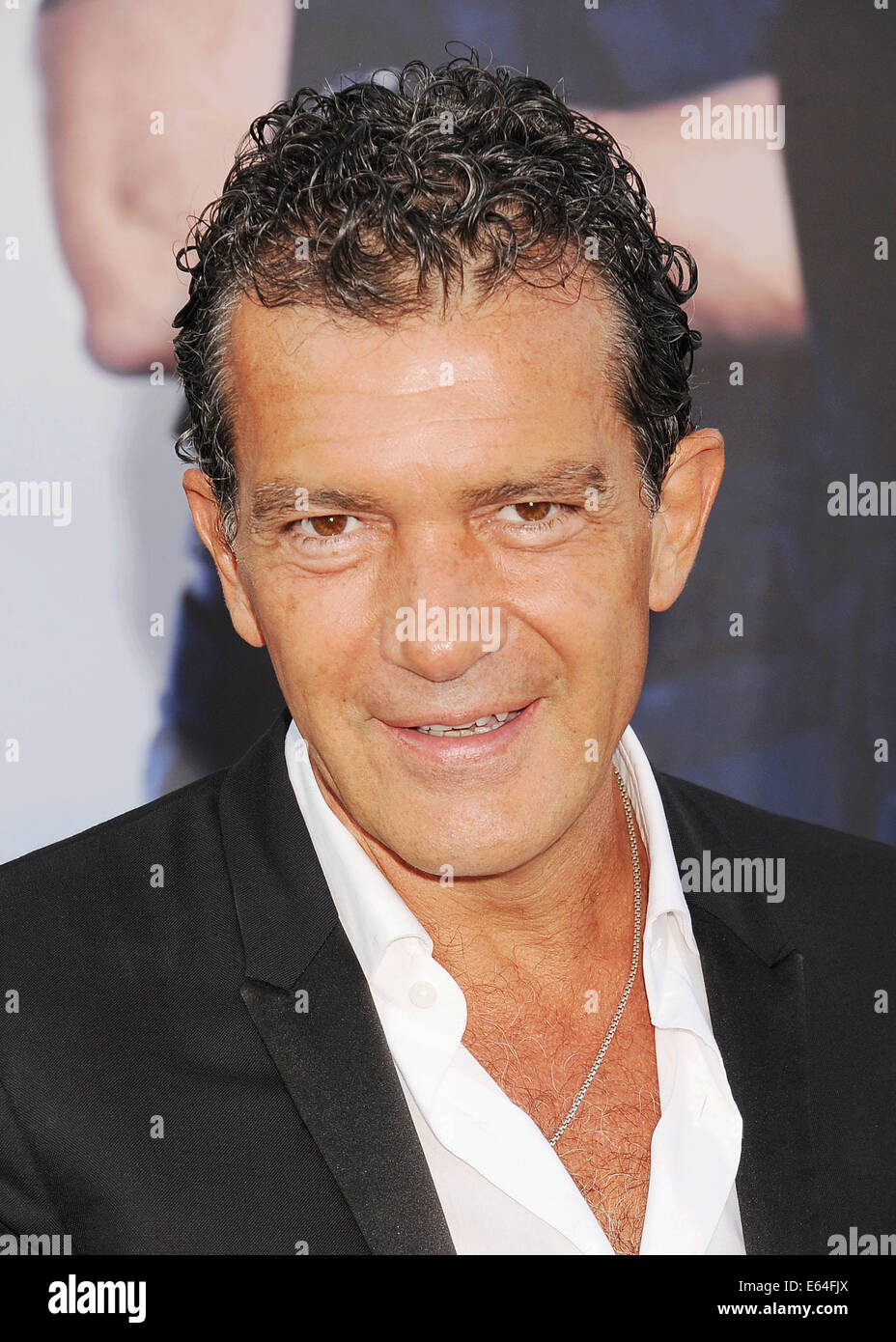 US film actress in August 2014. Photo Jeffrey Mayer Stock Photo - Alamy