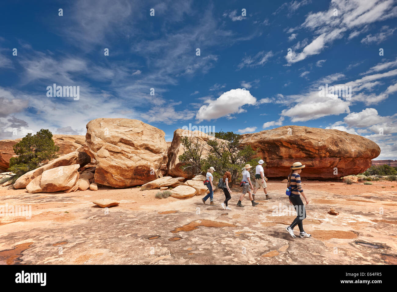 Canyonlands National Park, Needles District. Utah, USA Stock Photo - Alamy