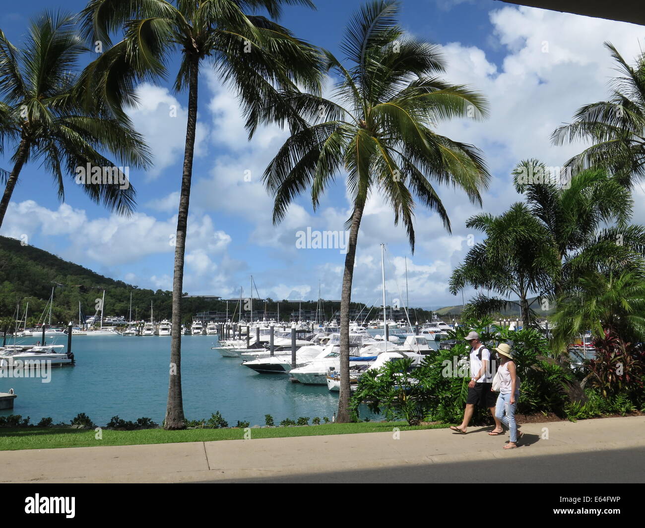 The Marina on Hamilton Island in the Whitsunday Islands, Australia ...