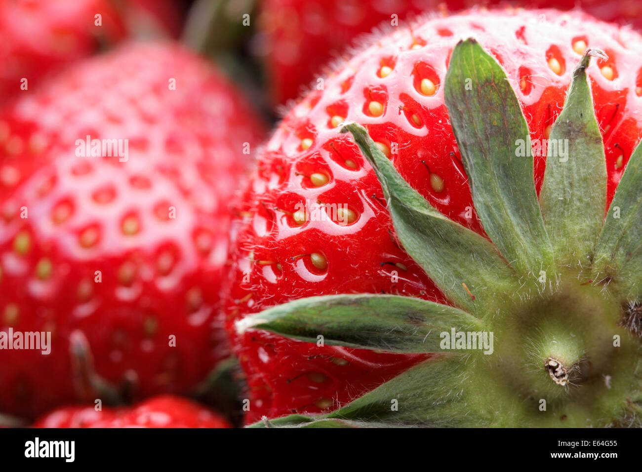 Strawberry super close up Stock Photo - Alamy