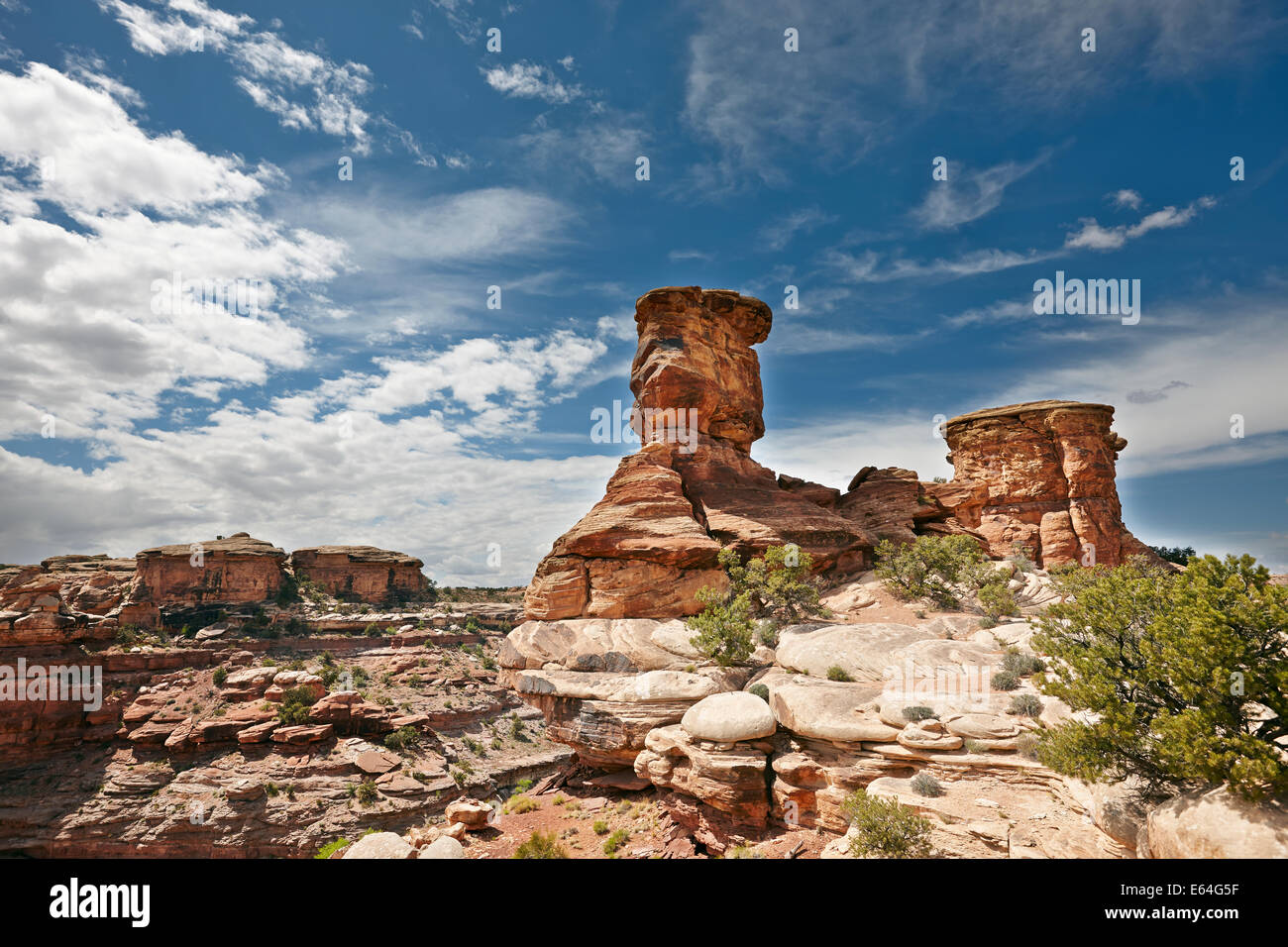 Buttes in Canyonlands National Park, Needles District. Utah, USA Stock ...