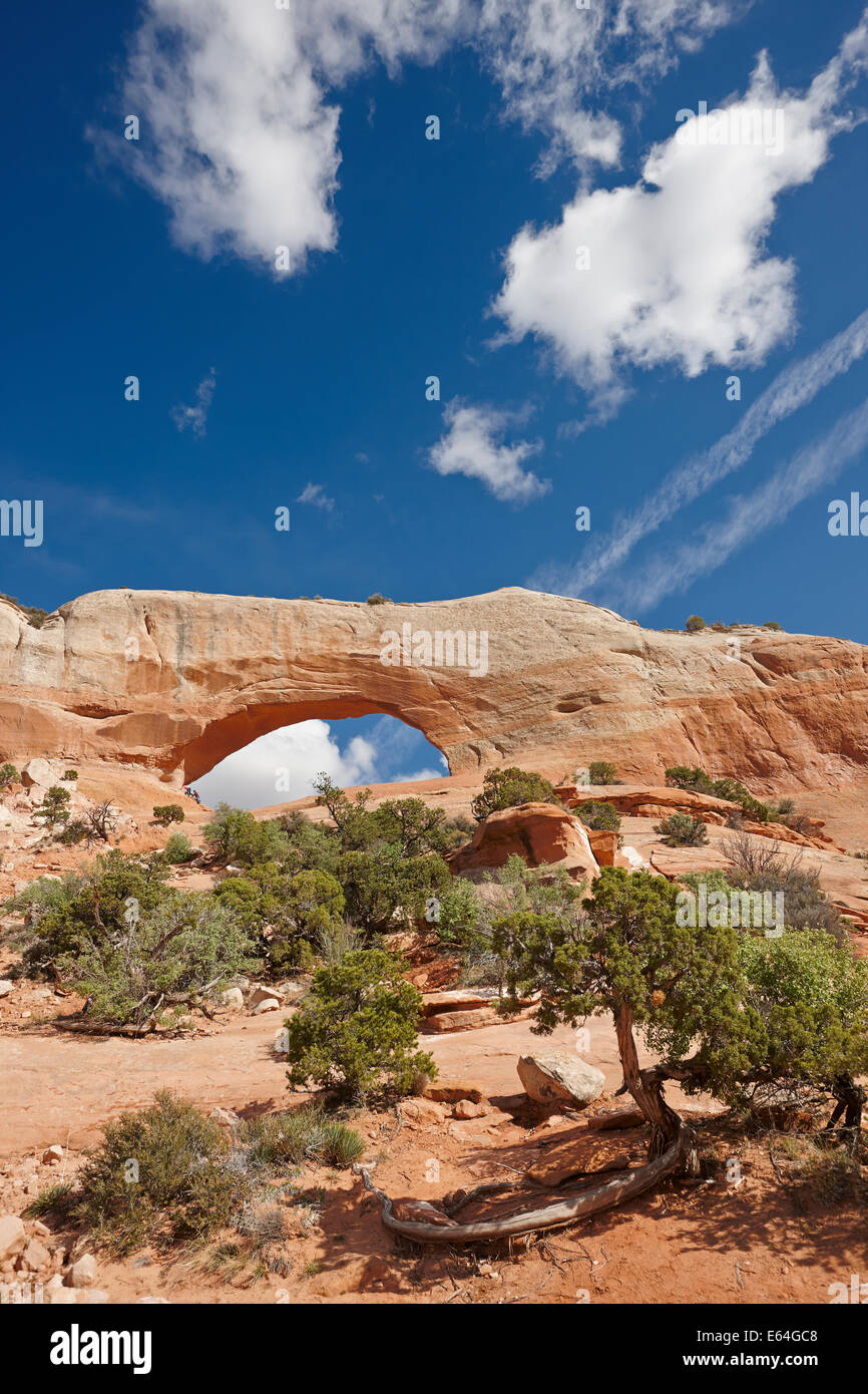 Wilson Arch, Utah, USA Stock Photo - Alamy