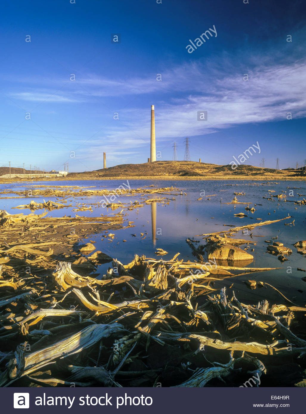 Effects Of Acid Rain High Resolution Stock Photography and Images - Alamy