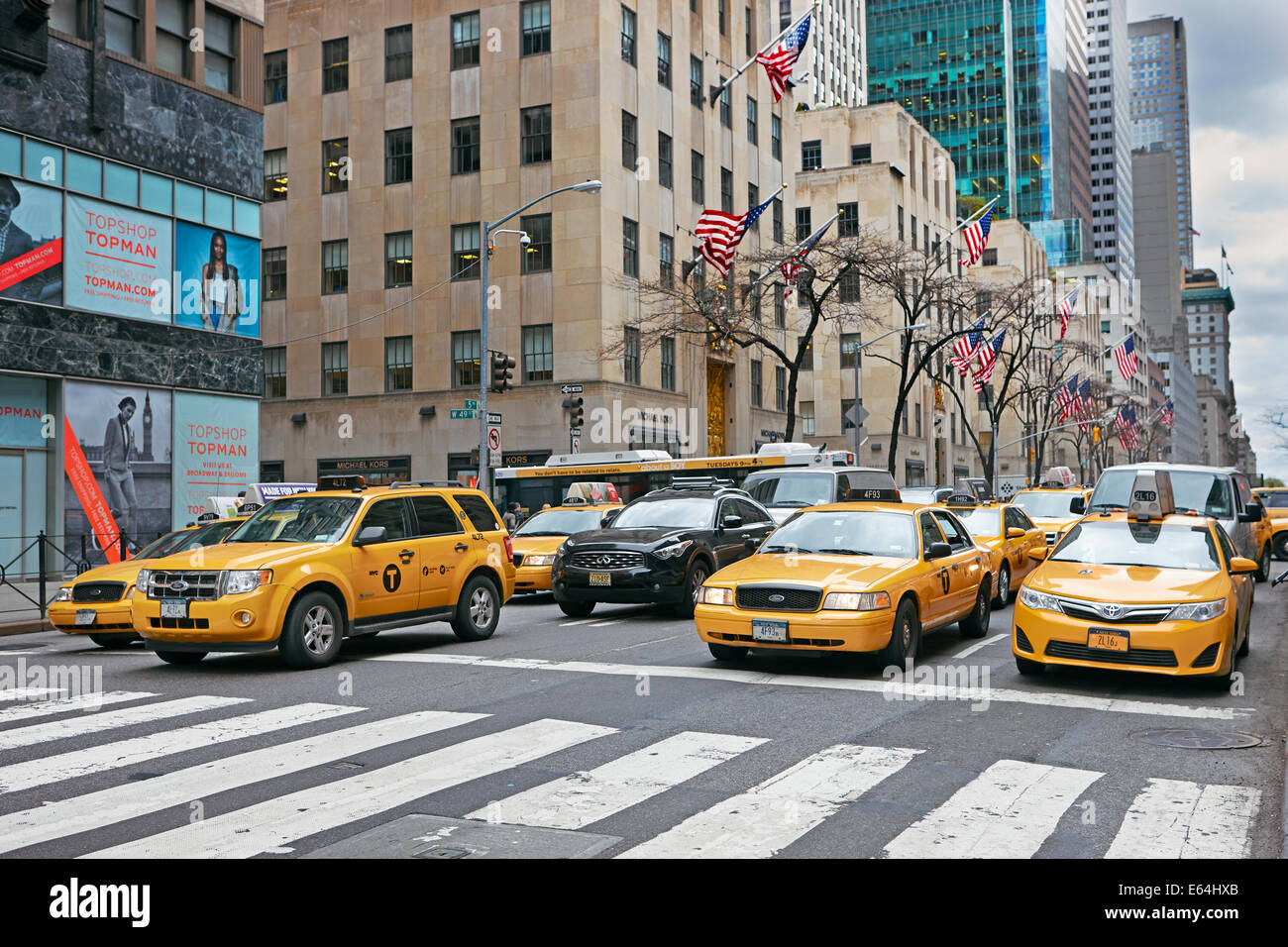 Yellow Medallion taxi cabs stop before pedestrian crossing on the Fifth ...