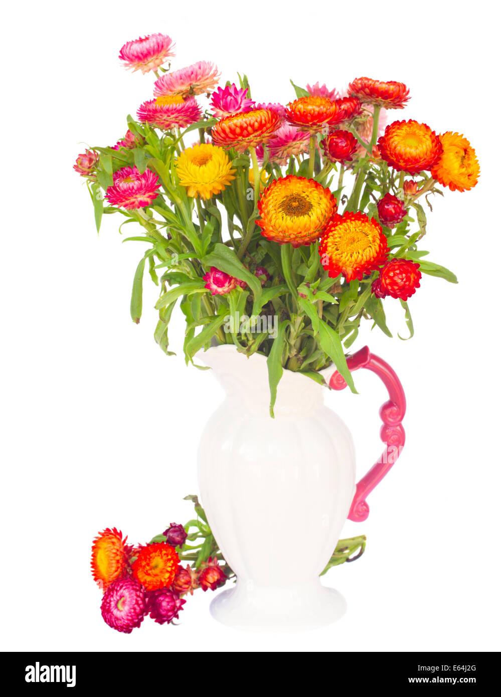 Everlasting flower posy hi-res stock photography and images - Alamy