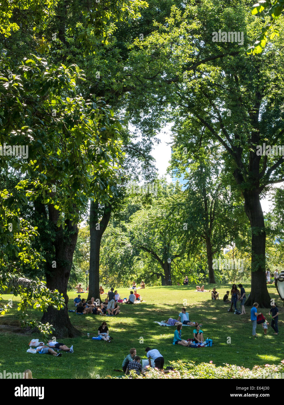 Summertime Relaxation in Central Park, NYC Stock Photo - Alamy