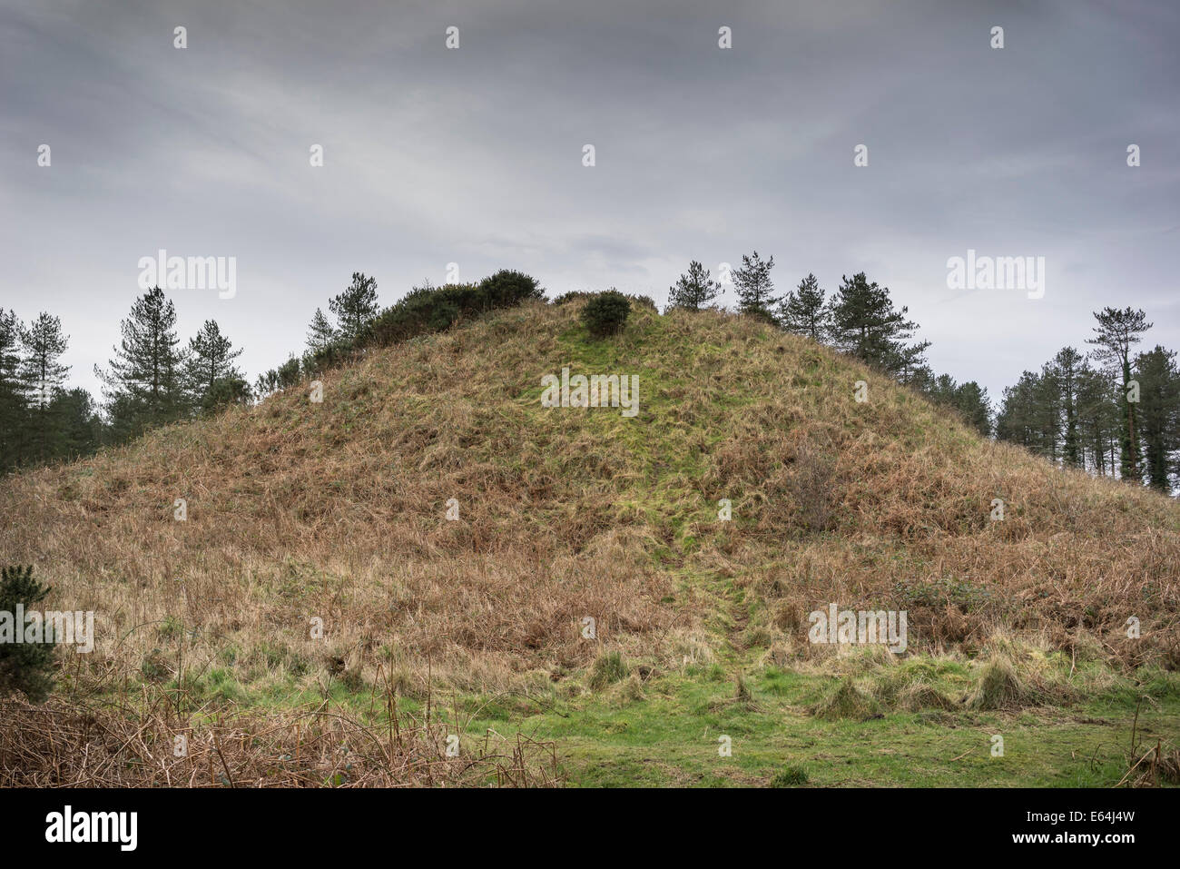 Droughdool ( Drochduil) a Neolithic mound at Dunragit in Dumfries ...
