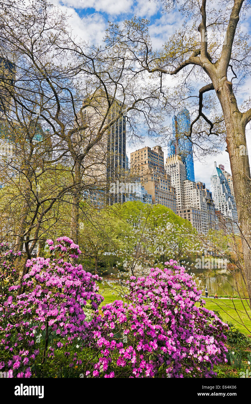 Central park trees and flowers hi-res stock photography and images - Alamy