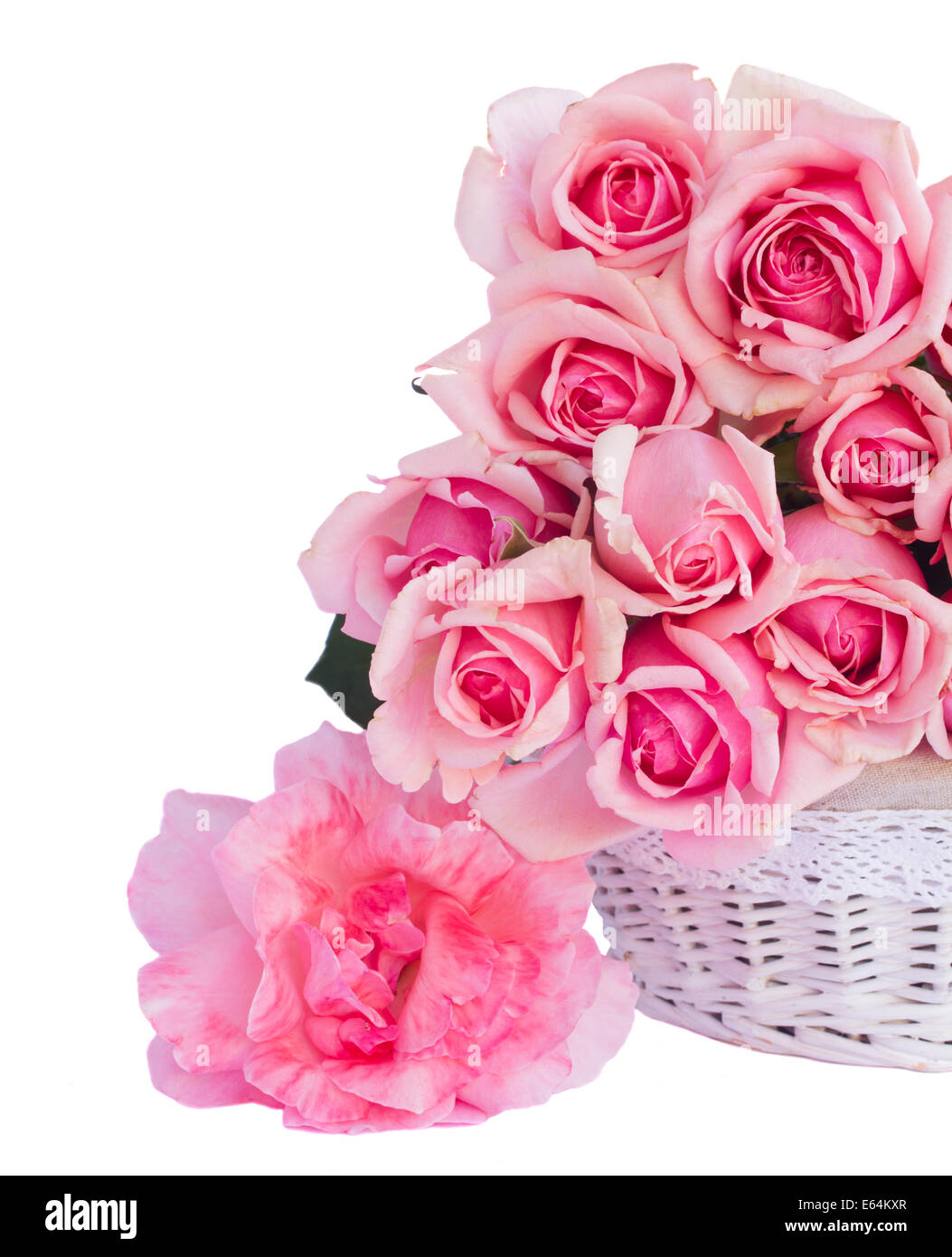 bunch of fresh pink roses Stock Photo - Alamy