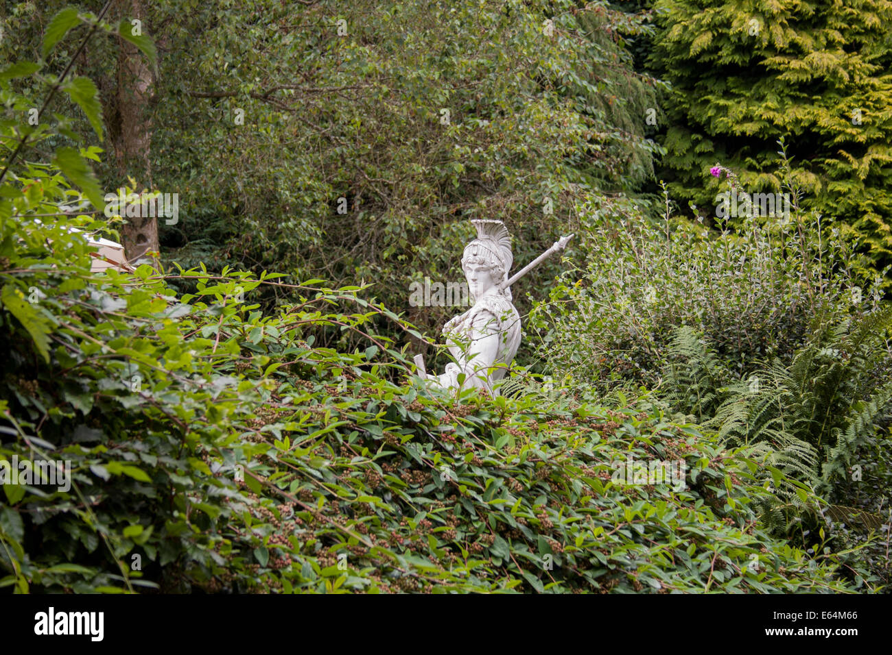 Roman statue in woodland Stock Photo - Alamy