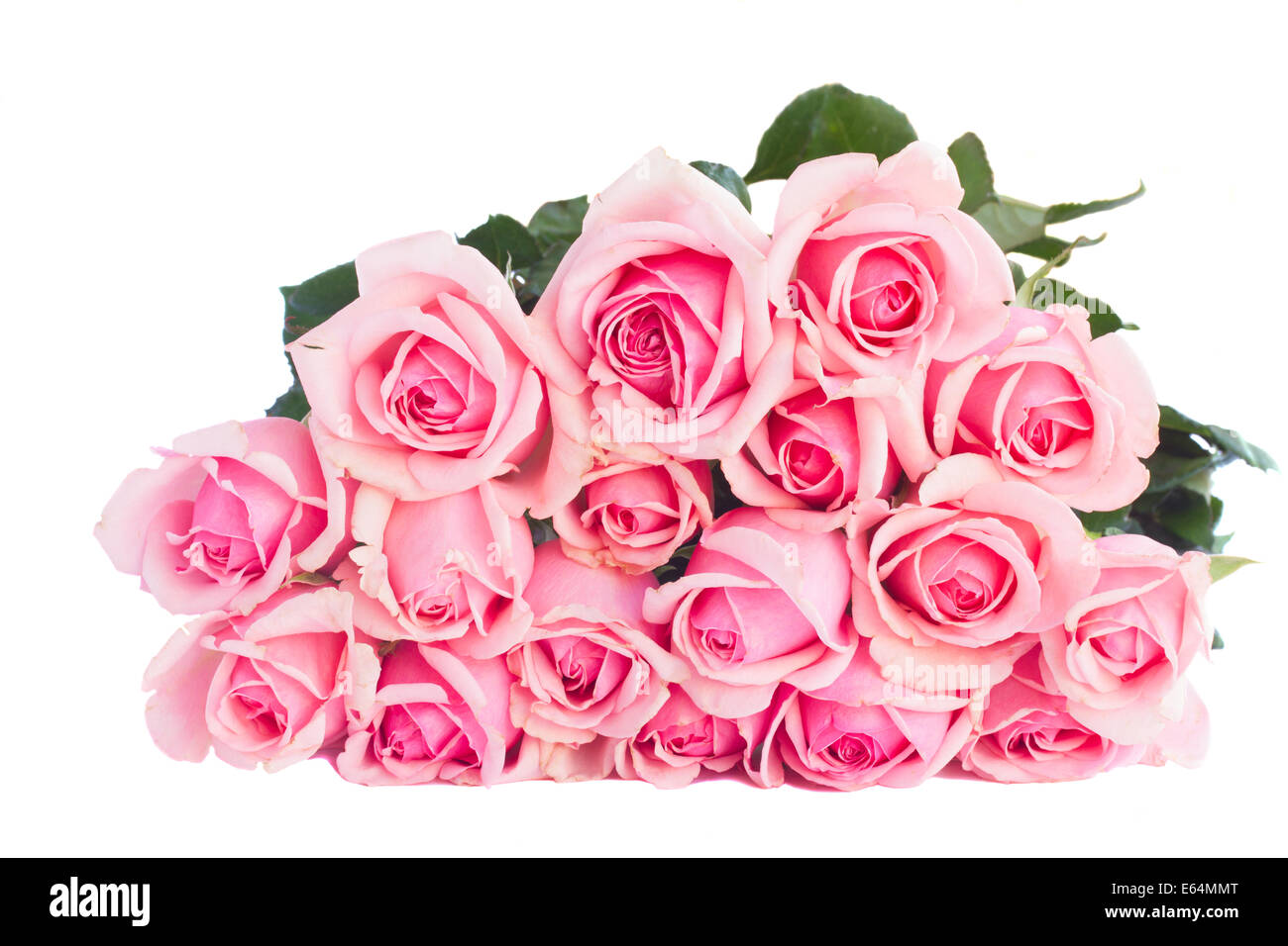 bouquet of fresh pink roses Stock Photo - Alamy