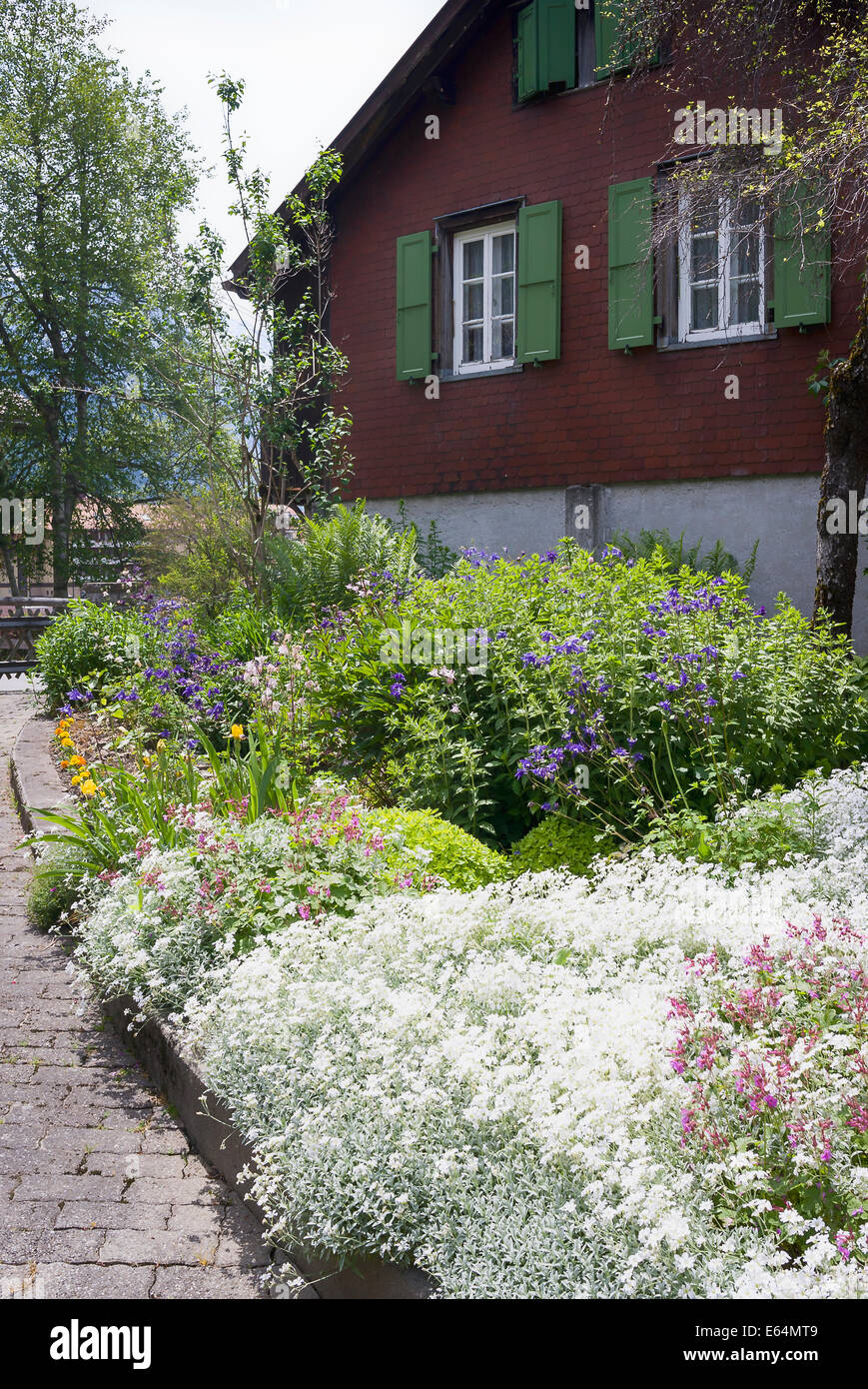 Swiss flowers hi-res stock photography and images - Alamy