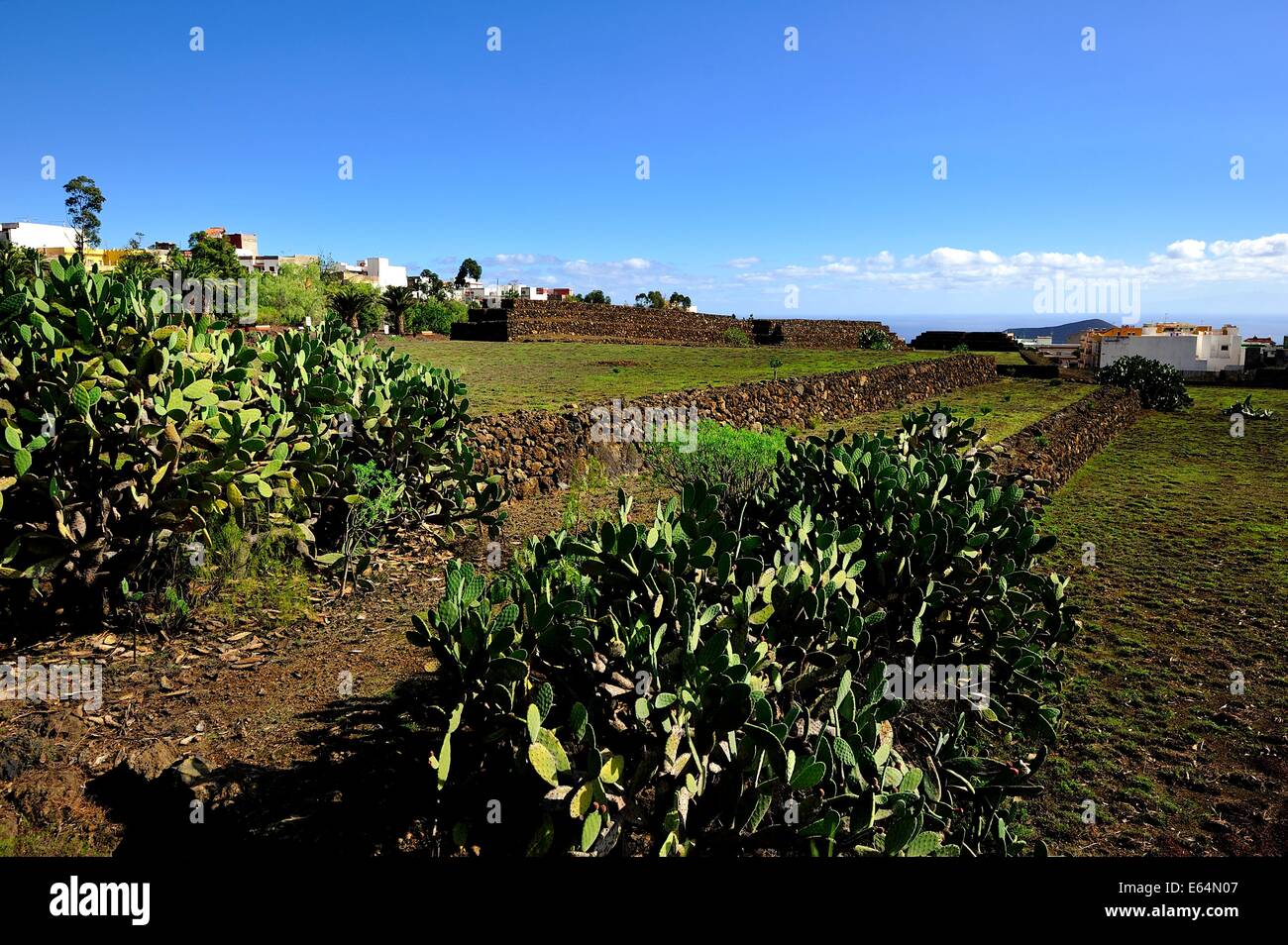 Güímar Pyramids of Tenerife Stock Photo - Alamy
