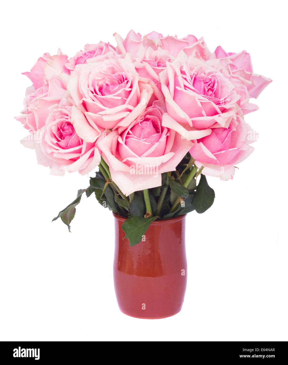 bunch of fresh pink roses Stock Photo - Alamy