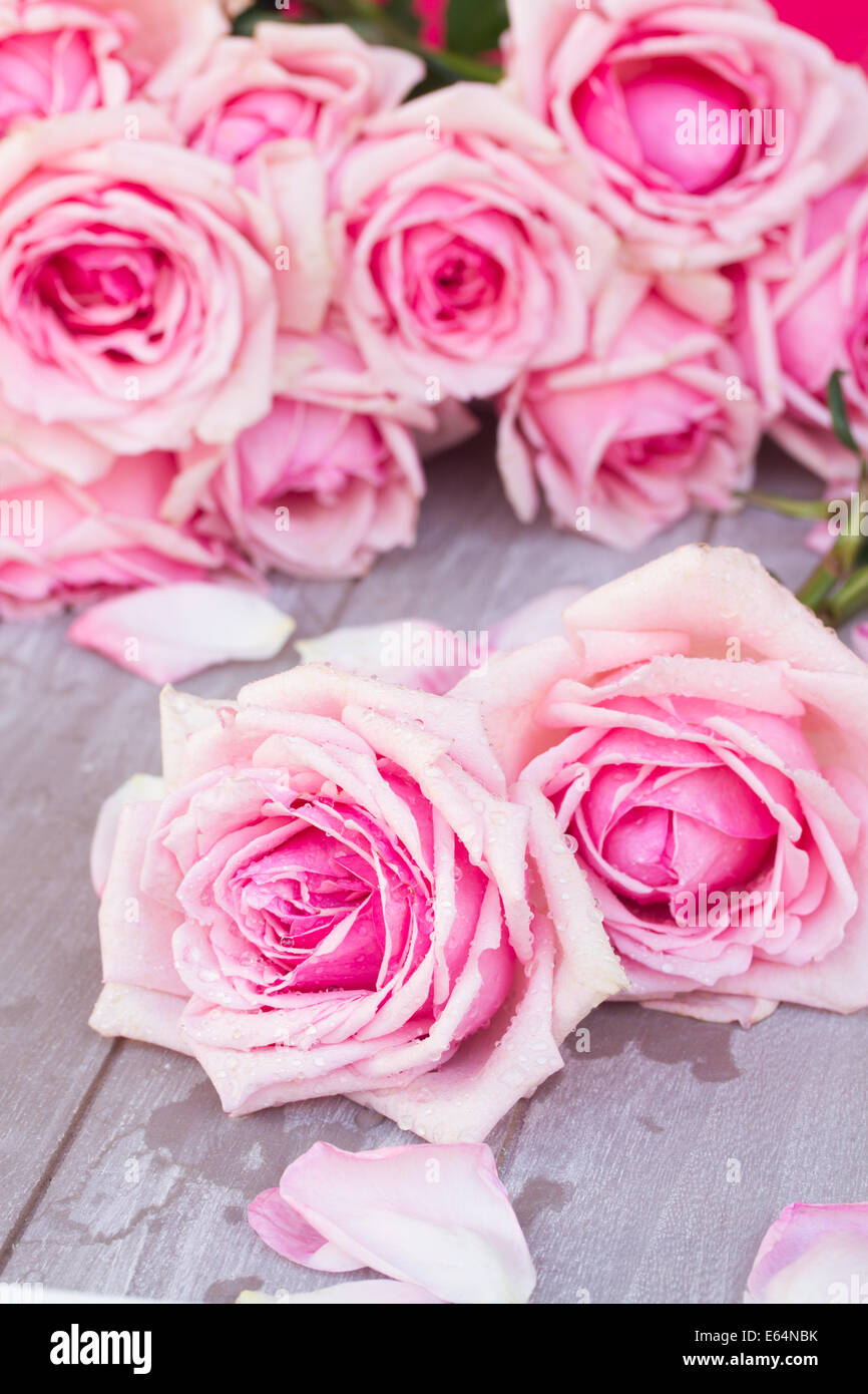 pink roses on table Stock Photo - Alamy