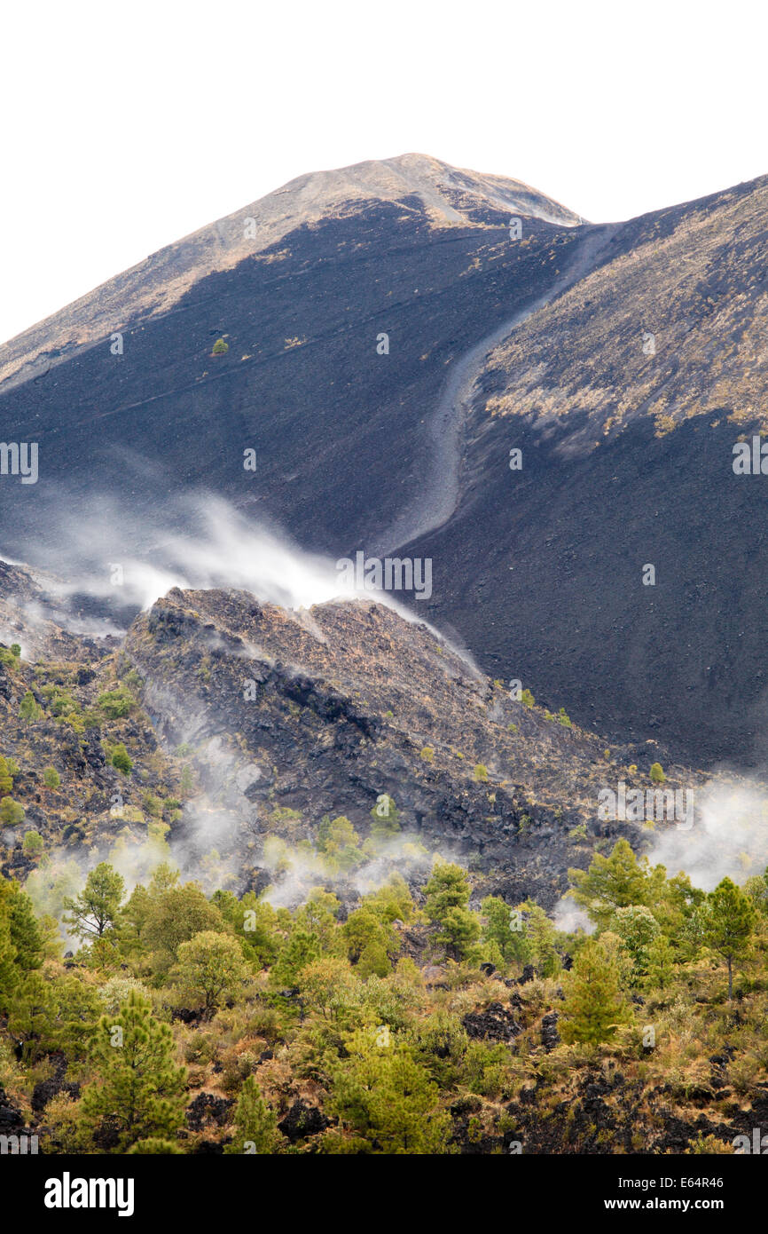 Steam rises from fissures near the Paricutin volcano in Michoacan ...
