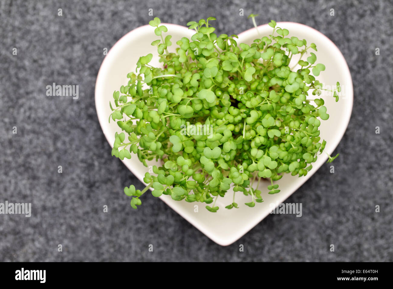 Mustard and cress hi-res stock photography and images - Alamy