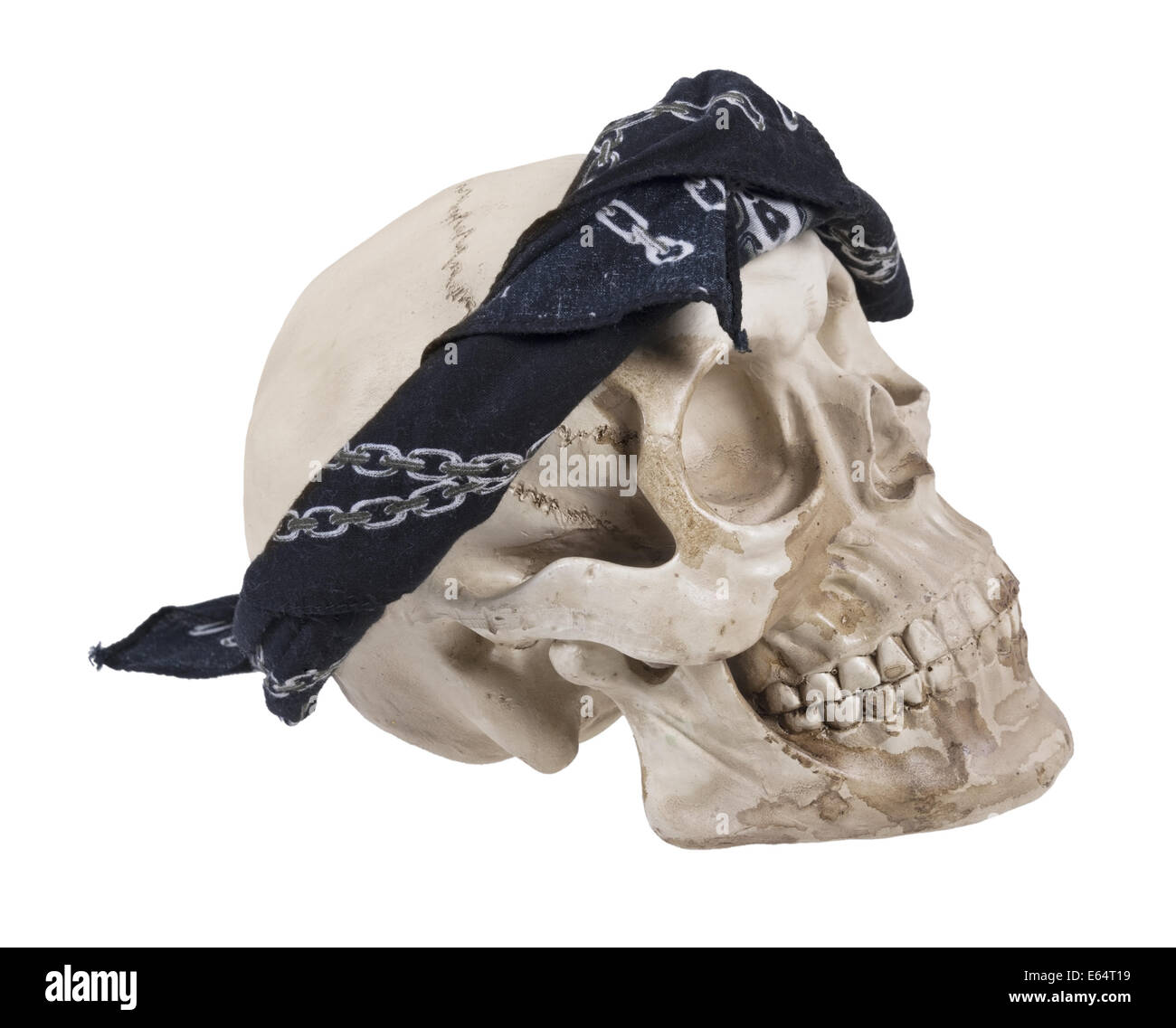 Bandana print Cut Out Stock Images & Pictures - Alamy