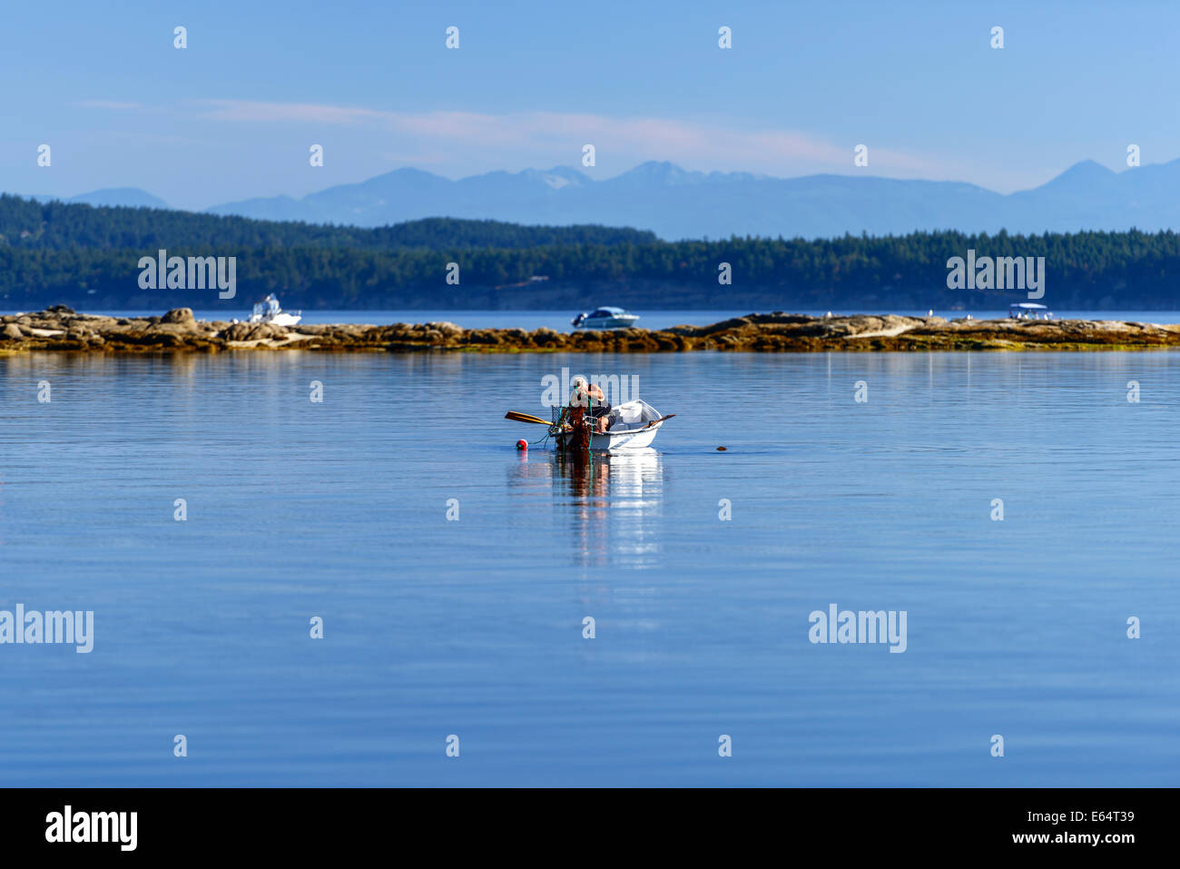 Checking trap hi-res stock photography and images - Alamy