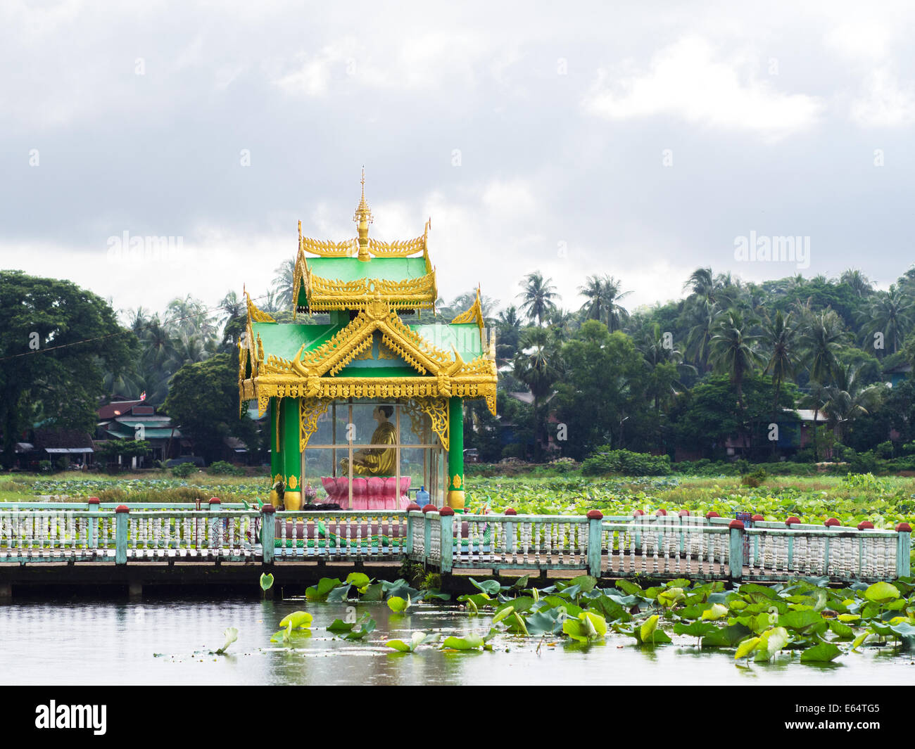 Buddhist shrine at a lotus pond in Myeik, southern Myanmar Stock Photo ...