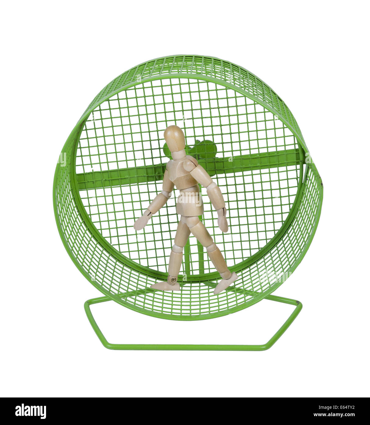 Walking on an exercise wheel used for health practices and staying fit ...