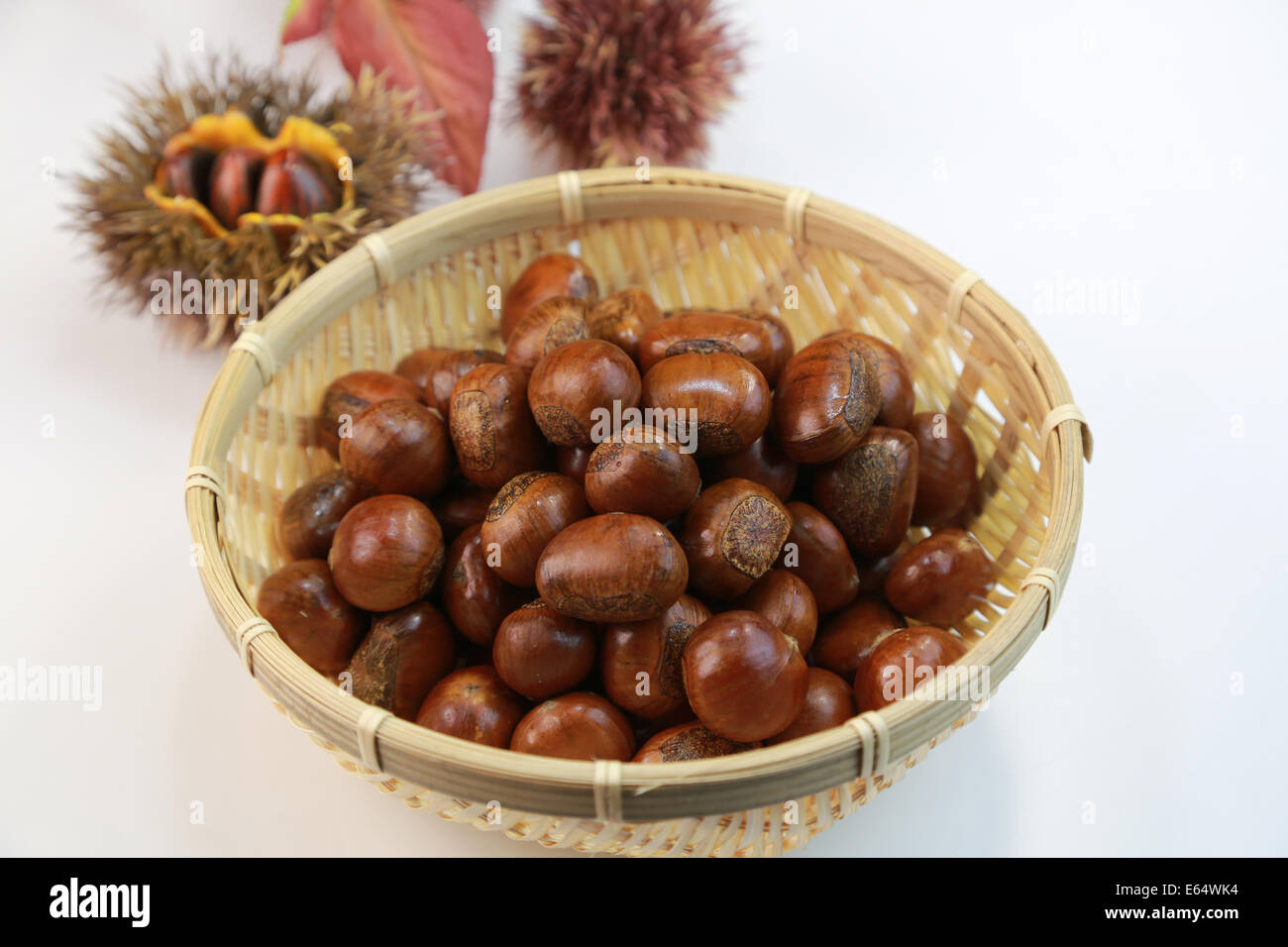 Chestnuts burr hi-res stock photography and images - Alamy