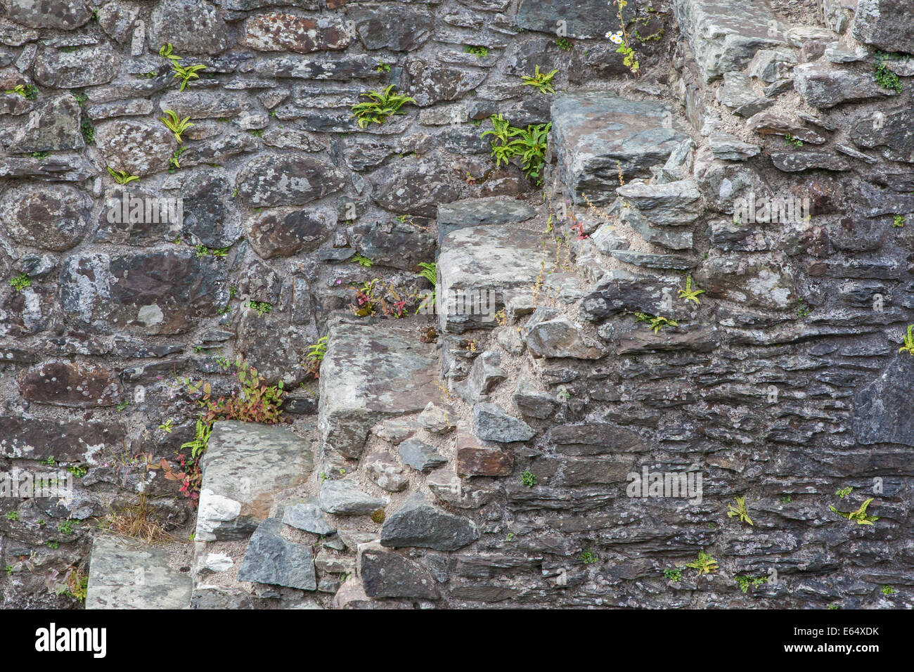 Stairs at an old castle wall, Scotland Stock Photo - Alamy